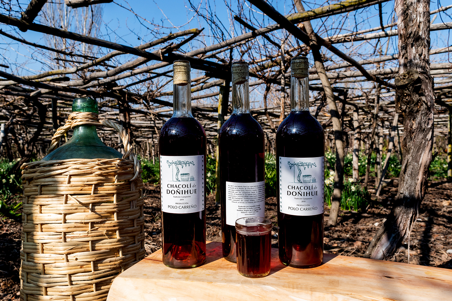 CHACOLÍ POLO CARREÑO – Estoy.cl