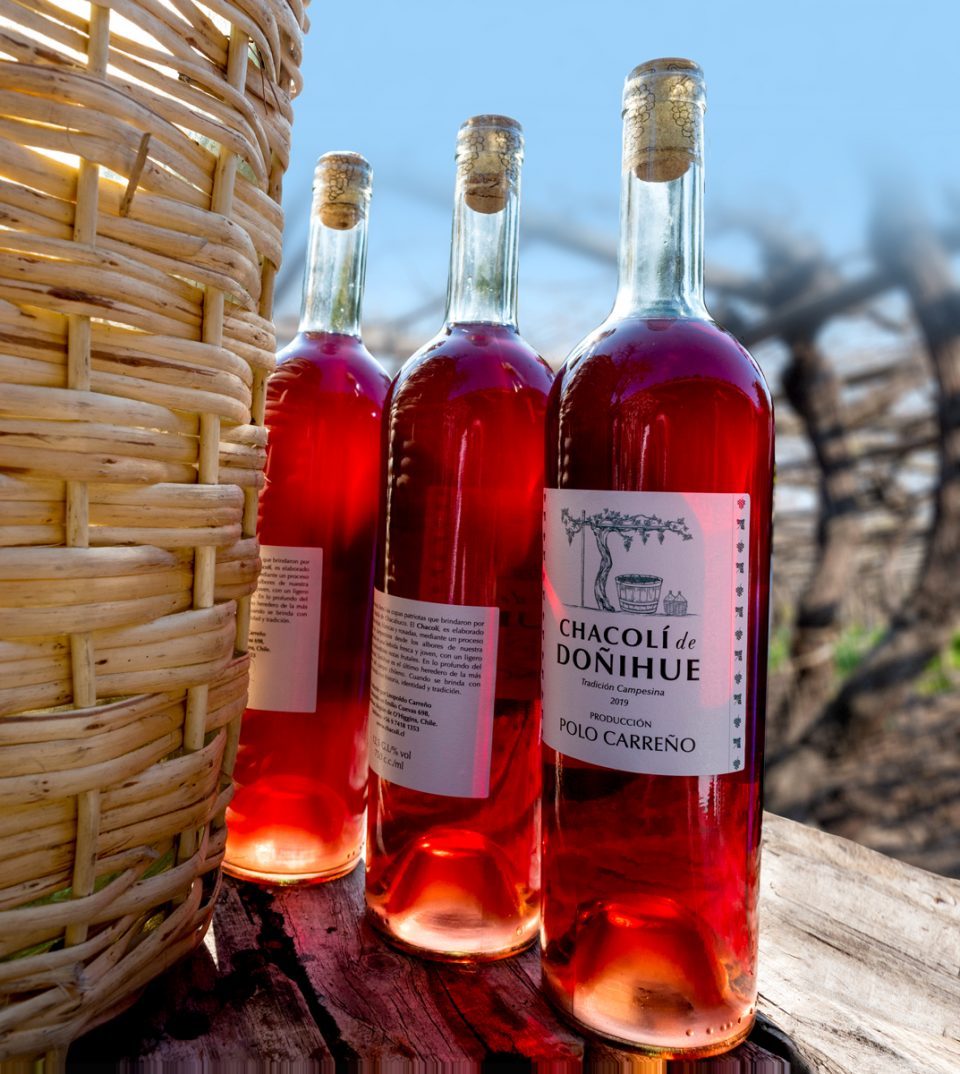 CHACOLÍ POLO CARREÑO – Estoy.cl